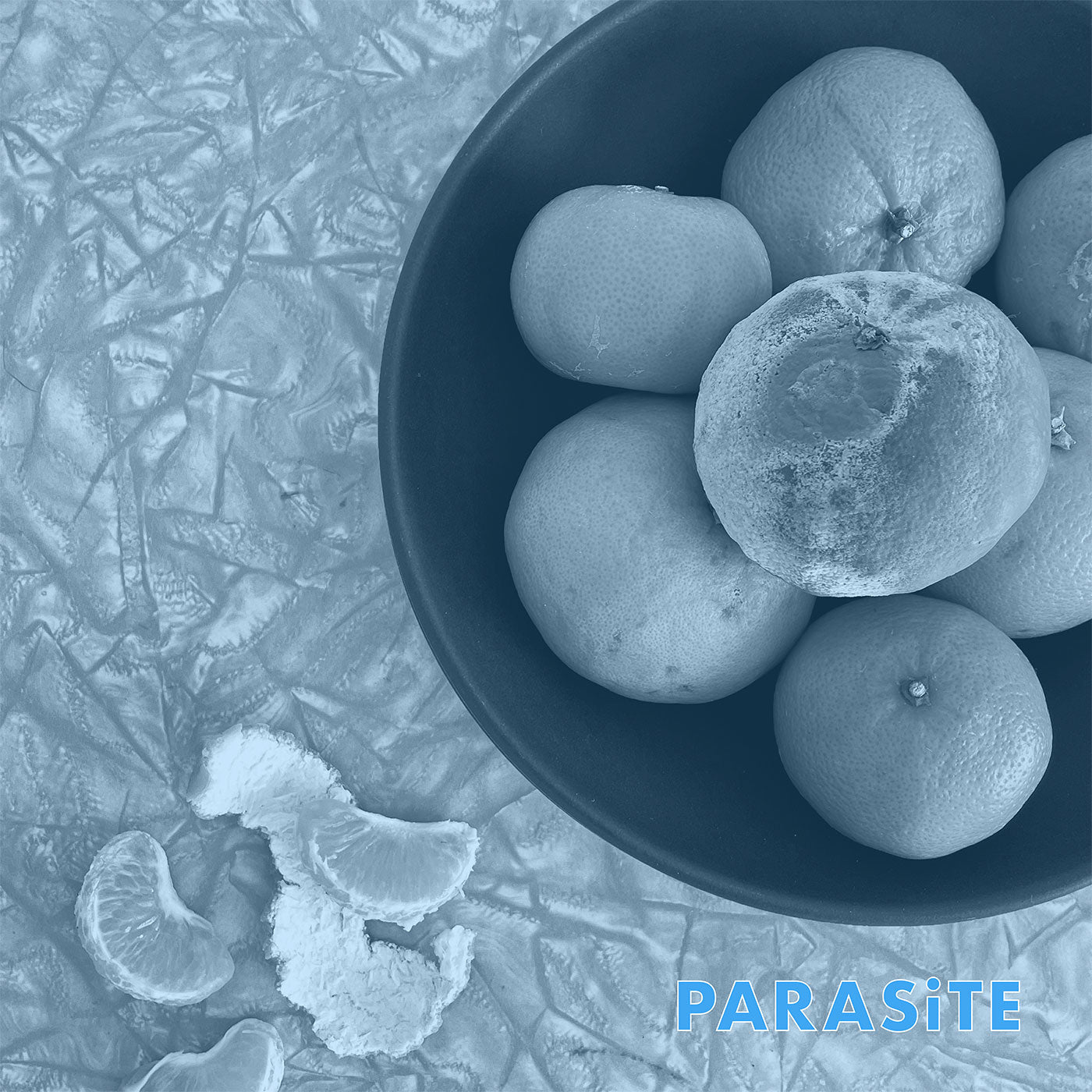 CELL ROT – PARASITE – Thrillhouse Records